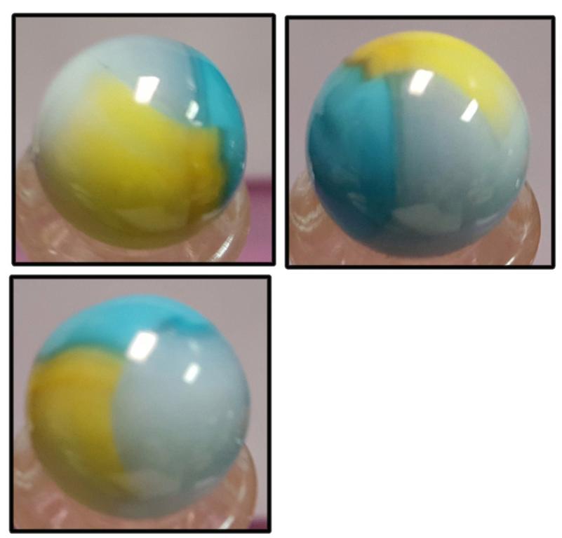 Patch Parrot??? - Marble I.D.'s - Marble Connection