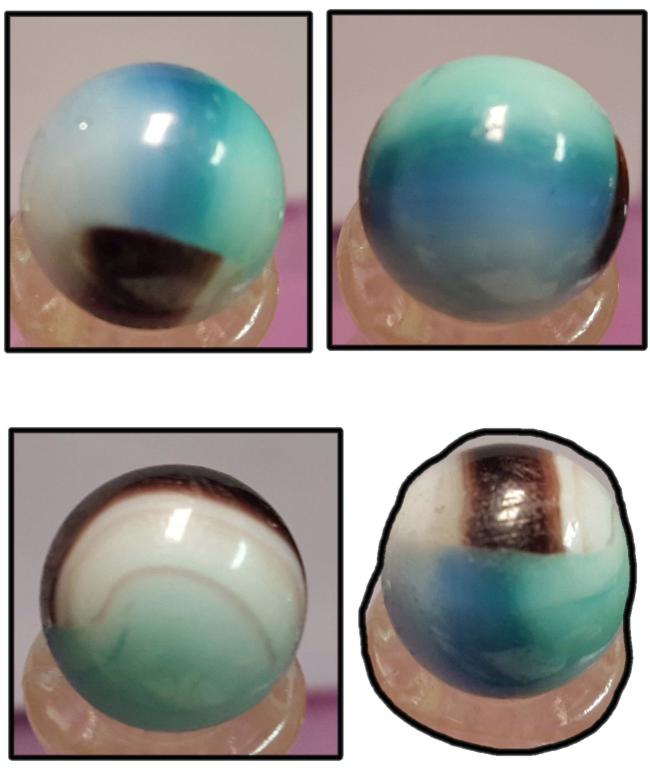 Patch Parrot??? - Marble I.D.'s - Marble Connection