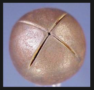 Steelies !! - General Marble & Glass Chat - Marble Connection