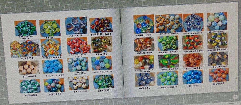 "For the Love of Vacors"- reserve a copy of a New Vacor ID Book ...