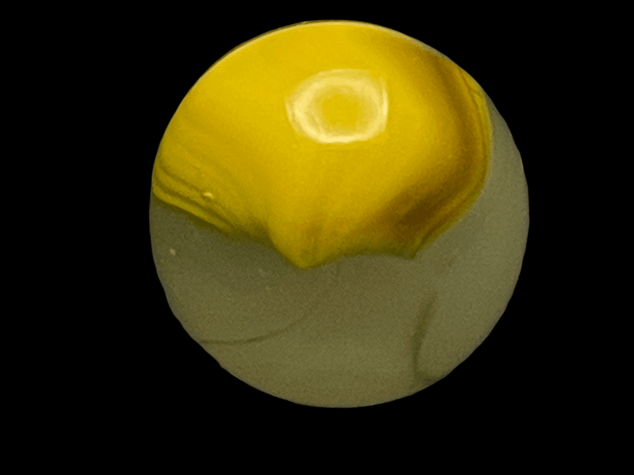 Master or Akro patch? - Marble I.D.'s - Marble Connection