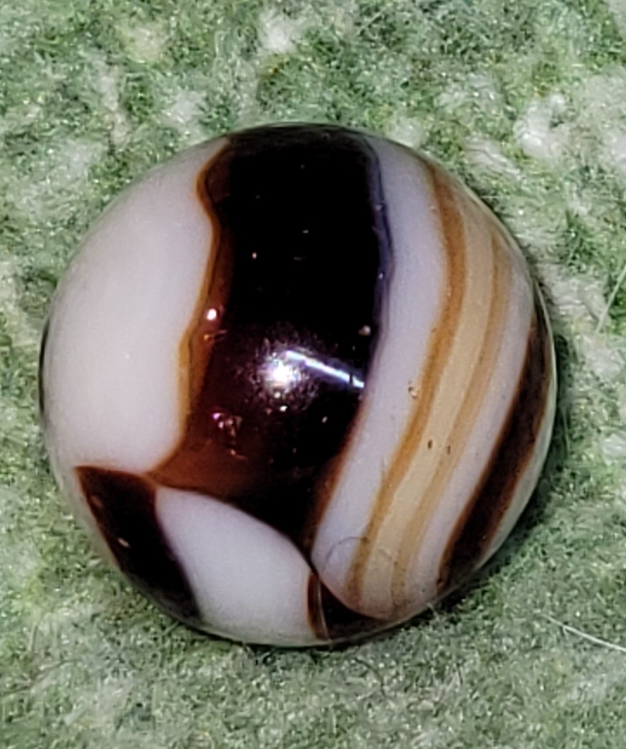 A Peltier Red Zebra?? - Marble I.D.'s - Marble Connection