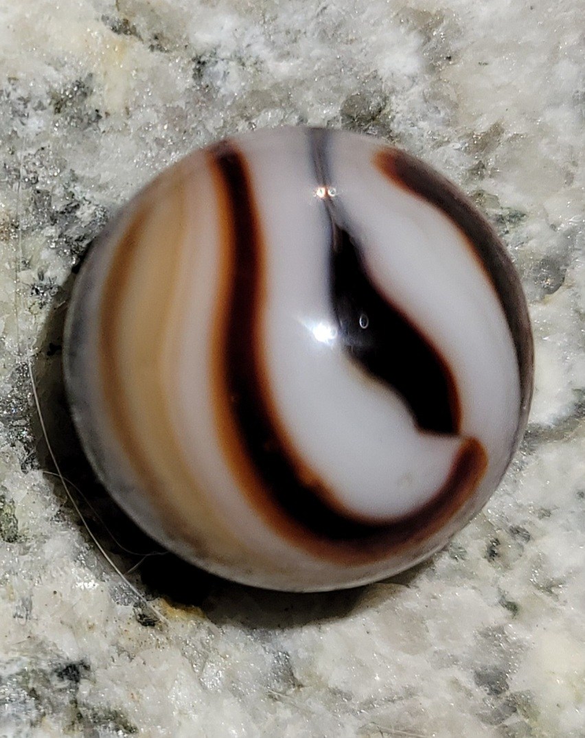 A Peltier Red Zebra?? - Marble I.D.'s - Marble Connection